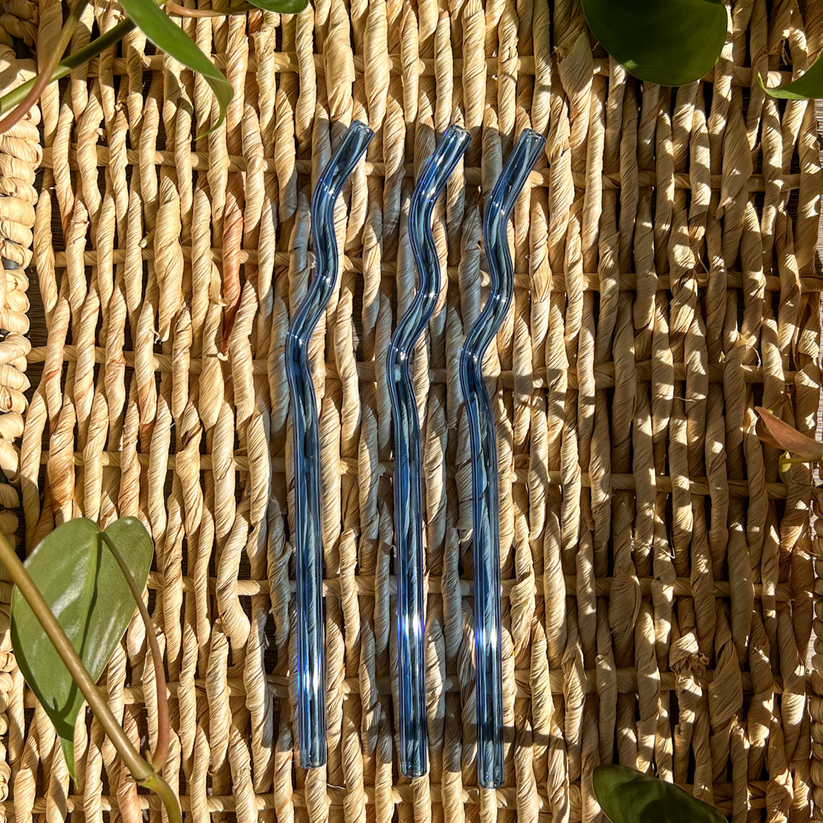 Blue Squiggly Reusable Glass Drinking Straw – Emily Paige Company